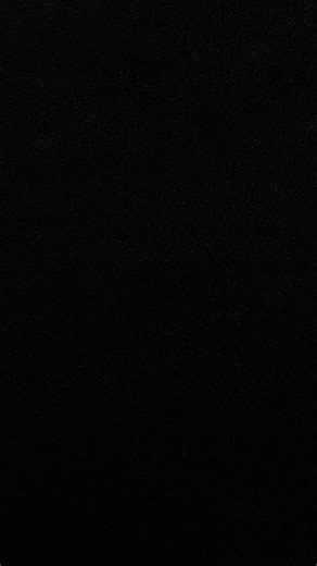 🐱 We have three cat colony cutie pies that are still on the look out for their forever homes — Blair, Oprah, and Pretzel! 🥧 These sweethearts are ready to curl up on your couch and purr their way into your heart. 💕 Stop by today — we’re open until 5pm! 🏠✨ #AdoptDontShop #CutiePieCats #AdoptACutiePie #CatsofIAS #AdoptMeow #RescueCats #ForeverHome #IrvingAnimalServices #AdoptLocal #CatAdoption #ShelterCats #AdoptTexasPets #IrvingTX #RescueIsMyFavoriteBreed #PurrfectMatch #CatsOfInstagram #Adop