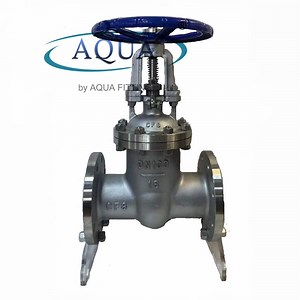 [Hot Item] Aquafitting DIN Stainless Steel Gate Valves for Industry