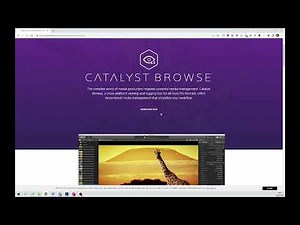 instal catalyst browse