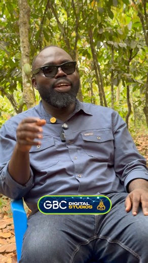 We believe that the move to process cocoa locally will place us on a path toward accelerated earnings from our cocoa production. — Dr. Peter Boamah Otokunor, Director of Presidential Initiatives in Agriculture and Agribusiness at the Office of the President, addressing the media earlier today. #cocoa #gbcnews | GTV Ghana