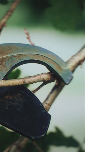 The MAN TGE. Ready to make a splash with our van? Get yours now! 👀 #MANTruckAndBus #MANTGE #MANVan #JumpForJoy #Vantastic | MAN Truck & Bus