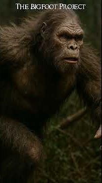 I SAW A FAMILY OF BIGFOOT #Bigfoot #Sasquatch #BigfootStories #BigfootEncounters #TrueBigfootStories