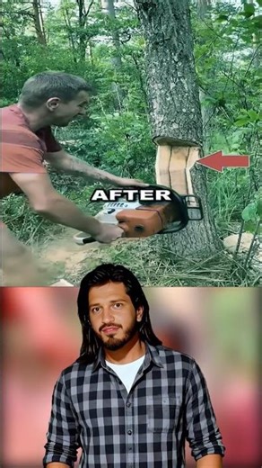 This Is the Smartest Way to Cut a Tree 🌳😮