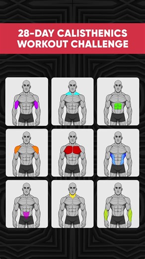 Take the test now and create a tailor-made training program! 👇 Easily achieve your goals 💪 ✅ Increased strength and endurance ✅ Increased flexibility ✅ Improved balance and posture ✅ Reduced joint pain | Body Transformation Plan