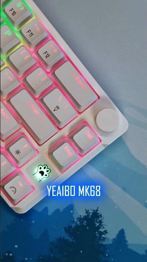 Yeaibo MK68 – 65% Mechanical Keyboard Unboxing | Wired | Budget 65% with Knob