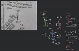 A spring-block system suspended vertically as shown in the figu... | Filo