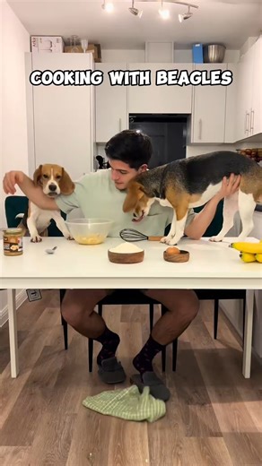 BAKING DISASTER ALERT! 😅🍰 This baking session went hilariously wrong from the start—chaos, laughs, and a kitchen full of surprises! 😆👩‍🍳 #BakingFails #KitchenDisaster #FunnyCooking #HomeBakers #FYP #ViralVideos #CookingComedy #BakingFun #EpicFails #LaughOutLoud | Beagle Sisters Kiki And Koko