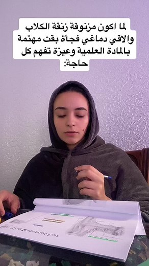 Effective Study Techniques for Student Success