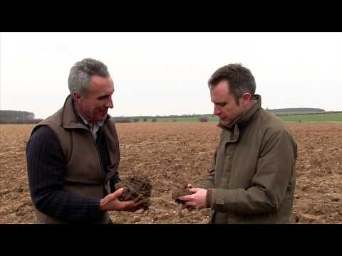 Soil: Improving Structure and Function