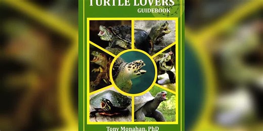 Book Talk: “The Turtle Lover’s Guidebook”