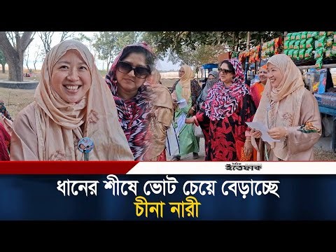 কুষ্টিয়ায় ধানের শীষে ভোট চেয়ে বেড়াচ্ছে চীনা নারী | Dhaner Shish | China Women | Election Campaign