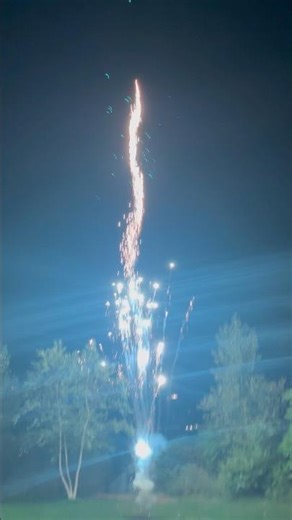 Lethal Agent 1.2 preloaded shell🔥Raccoon fireworks #shorts #fireworks #pyro