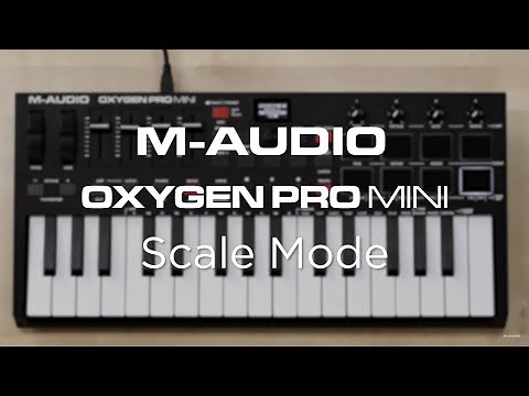 M-Audio Oxygen Pro Mini || Scale Mode Overview