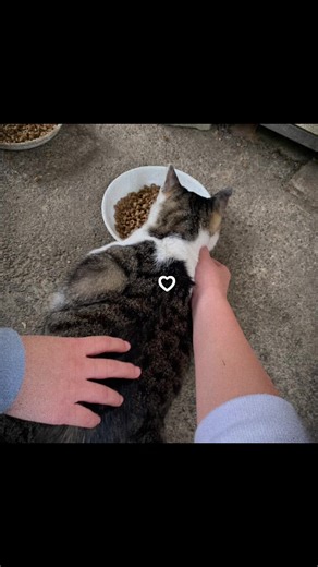 Popwer22 (@popwer226) 的影片使用了 原聲 - 宥宇 李 - Popwer22