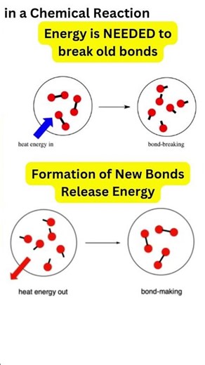 | Episode 02 – Endothermic Reactions Explained |GCSE Chemistry Made Easy | Scitechia Academy