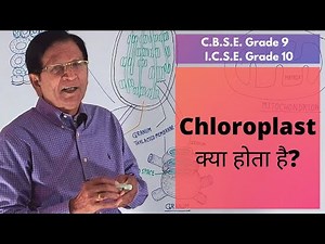 What Is Chloroplast? || Grade 9 & 10 Biology