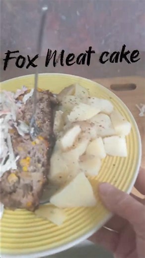 Yummy FOX Meat cake!