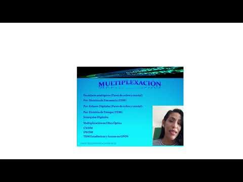 EXPOSICION DE MULTIPLEXACION