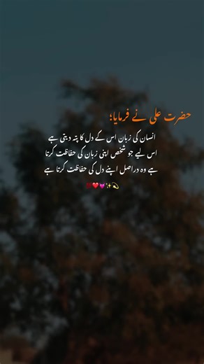 Exploring the Beauty of Urdu Poetry