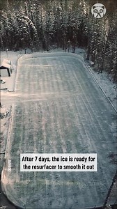 Process of building an ice rink | Science, Tech and Universe