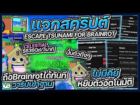 แจกสคริปต์แมพ Escape Tsunami For Brainrots 🌊 มือถือ ลบสึนามิ วาปหา brainrot ระดับ Secret (ไม่มีคีย์)