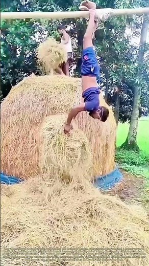 Human Crane: The Counterweight Physics of Haystack Construction