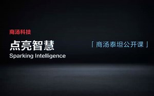 【商汤泰坦公开课】深度学习和神经科学的交互