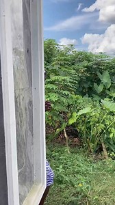 72K views · 780 reactions | Lesson learnt | Flexzbee Tv | Facebook