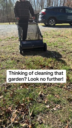 Effortless Leaf Collection with Easy Push Tool