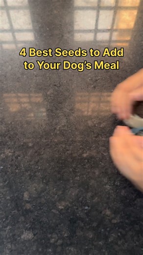 K9 Vitality on Instagram: "Here’s a quick guide to the best seeds for your dog—safe, healthy, with benefits and recommended quantities: 1. Chia Seeds Quantity: 1/4 tsp for small dogs, 1/2 tsp for medium dogs, 1 tsp for large dogs (per day) Benefits: 👉 Rich in omega-3 fatty acids for a healthy coat 👉 High in fiber—good for digestion 👉 Contains protein, calcium, and antioxidants Tip: Soak in water for 15–30 mins before feeding to avoid choking. 2. Flaxseeds (Ground) Quantity: 1/4 tsp for small