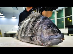 How a Professional Fillets a Sheepshead! (Toughest Scales)