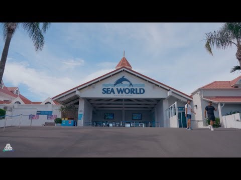 Sea World Australia - 2025