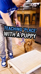 75K views · 2.1K reactions | "Place command" is being able to signal...