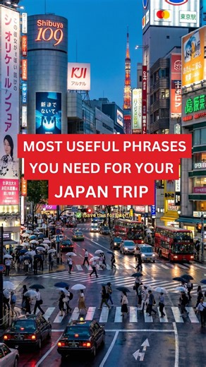 Must Visit Japan on Instagram: "Save this for your next Japan adventure! 🇯🇵 ✈️ Comment for a FREE basic Japan phrases guide"
