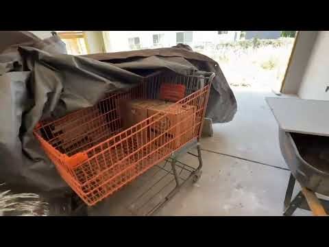 No Cart Left Behind: Automated Shopping Cart Tracking & Retrieval Service (Using Helium Network)