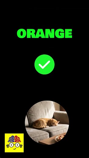 Do You Have a Photographic Memory? 📸 Test Yourself! #Shorts