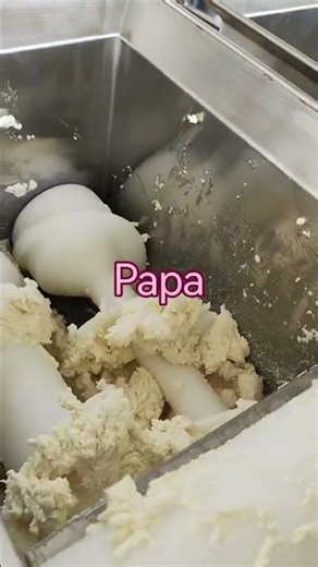 Testing video for Papa automatic P160 fig bar encrusting machine