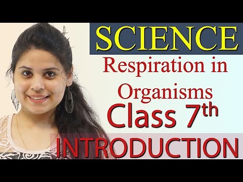 Introduction - Chapter 6 - Respiration in Organisms - Science Class 7th NCERT