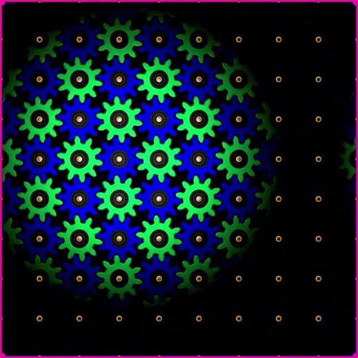 PARADOXICAL : odd torus gears with monodromic aperture