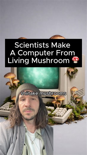 For the nerds out there, this is how the science works. Memristors are electronic components that “remember” previous electrical signals. They’re key to neuromorphic computing – aka computers that work more like brains, with memory and processing integrated instead of separated. The team grew shiitake cultures, dehydrated them for stability, then connected electrodes and ran various electrical tests. At certain frequencies (especially around 10 Hz with proper voltage), the mushrooms displayed th