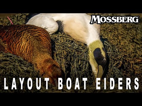 Layout Boat Sea Duck Hunt | The Waterfowl Collective