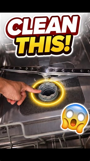 Why Your Dishwasher Smells (Hidden Filter Inside)