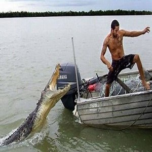 25K views · 220 reactions | Fishing Fails Compilation ---------------------------------------------------------------- Like Page To See The Most Interesting Videos !!!  #WildAnimalWorld | Wild Animal World | Facebook
