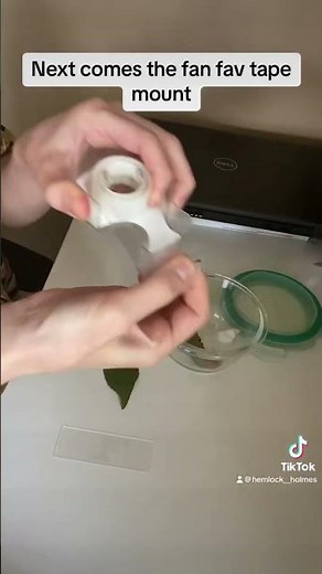 #plant #pathology #diagnosis #tree #fungal #disease