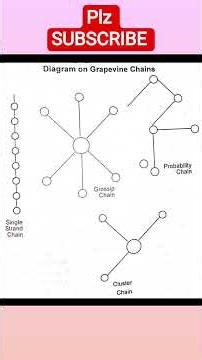 Different types of Grapevine or Informal Communication #shorts #shortsfeed