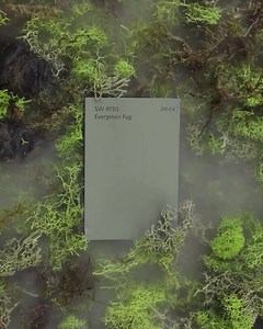 202 reactions · 19 shares | Through the fog comes a new year of...