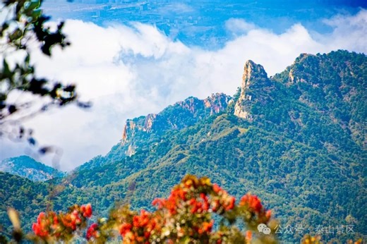 Explore Taishan Mountain's autumn splendor