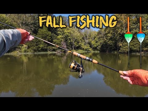 Float and Twitch for Catfish, Panfish and Bassfish