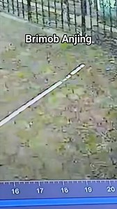 10K reactions · 12K shares | nih bukti cctv bahwa pejalan kaki yang tidak demo pun kena amukan brimob. jadi sebenarnya brimob ini mau menebar ancaman atau mau mengamankan ? #fyp #BeritaViral #Reel #JangkauanLuas | Khoirul Umam | Facebook