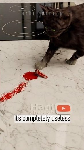 Finger Cut Off? DO THIS IMMEDIATELY 😨